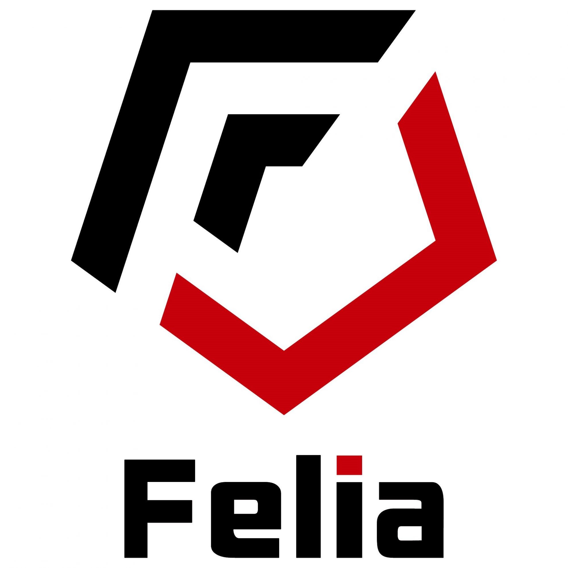 株式会社Felia – 株式会社Felia（フェリア）